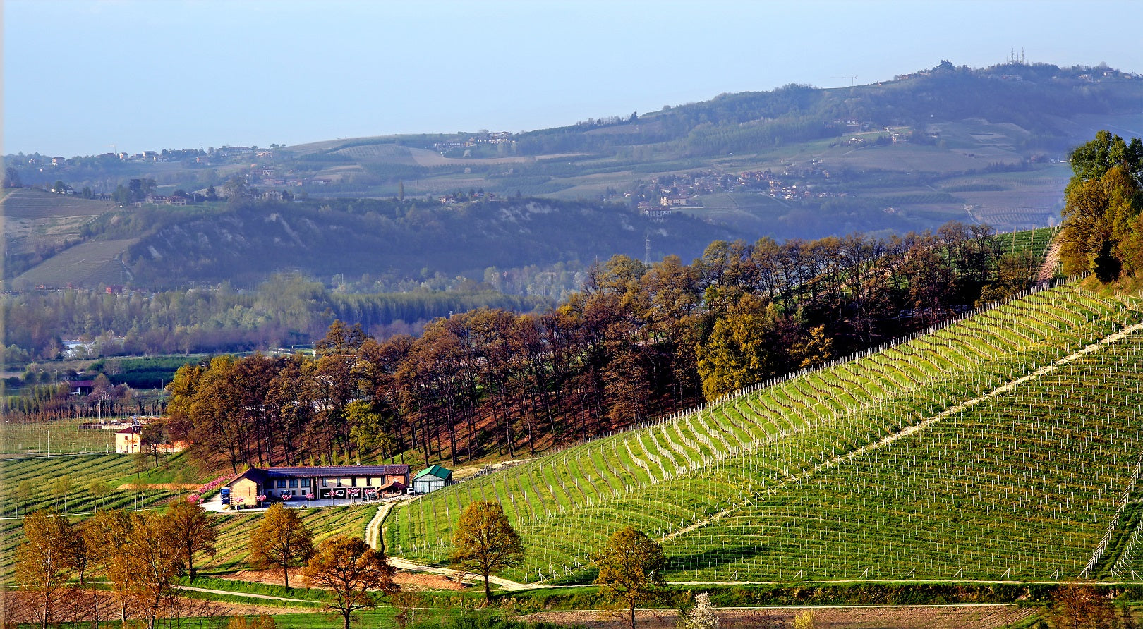 Winexp – Winexp.it